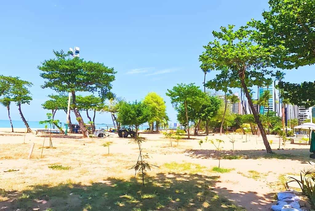 19 Melhores Praias do Ceará: Guia das Belas Praias Cearenses