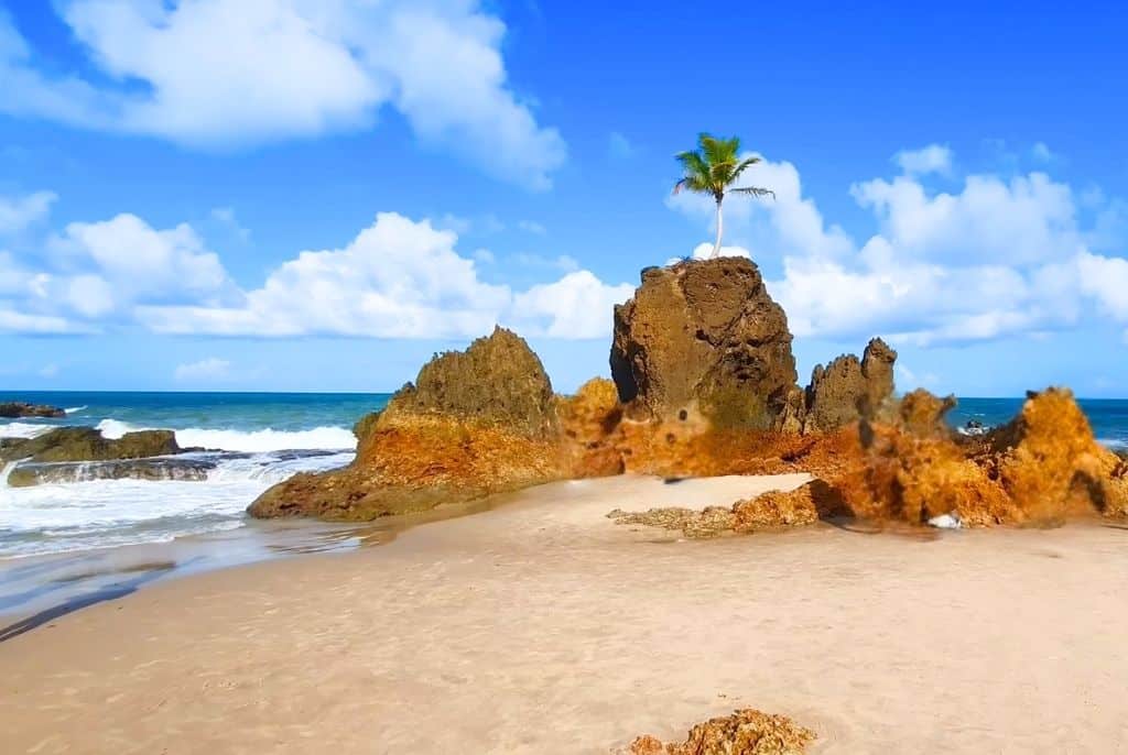 Melhores Praias da Paraíba: Guia completo de norte a sul