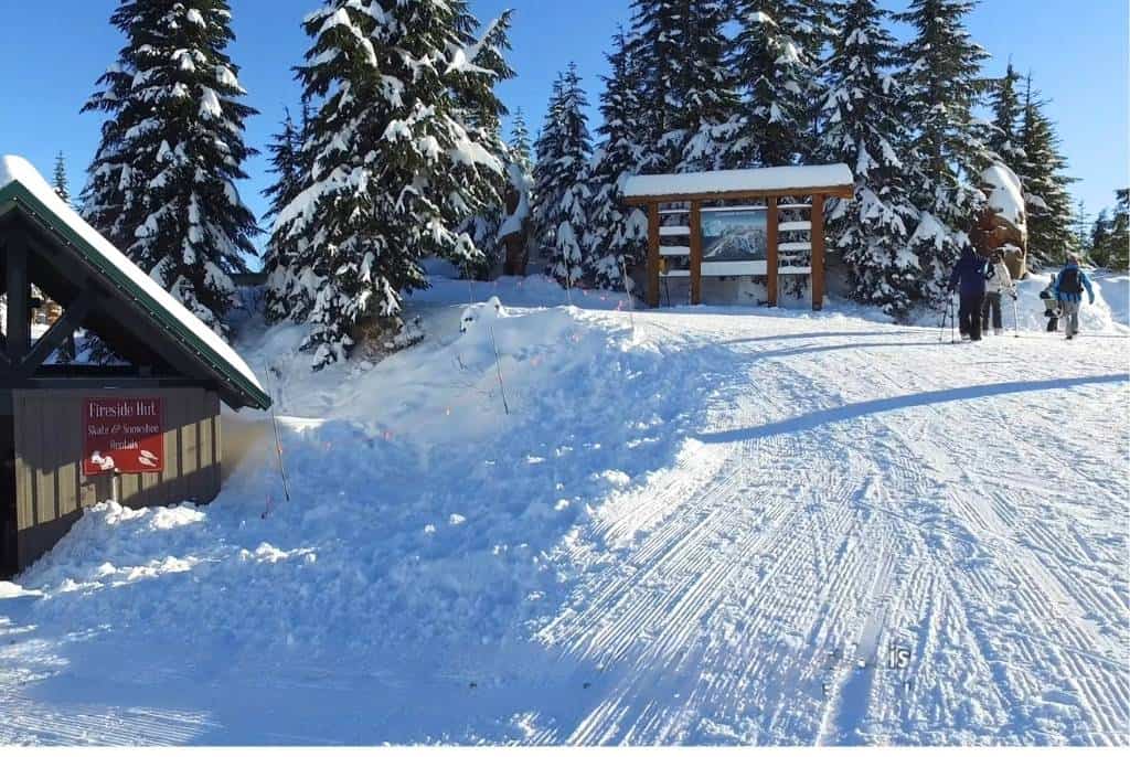 O Que Fazer em Vancouver - Canadá: Guia e Roteiro Completo